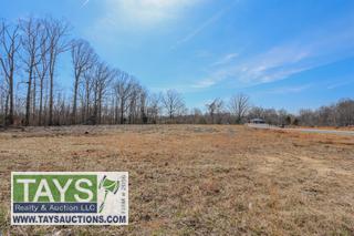 Tays Realty & Auction