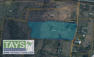 Tays Realty & Auction